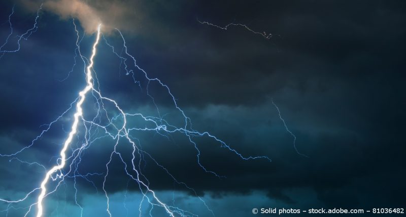 Der Blitz ist schneller - Lingonetz