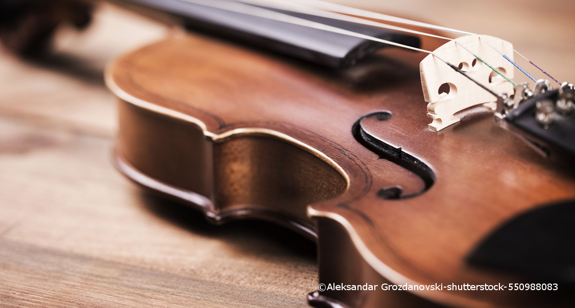 Eine Geige bauen - Lingonetz